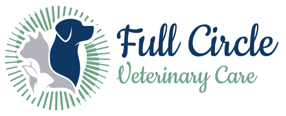 Best Vet Hospital In Johnstown, CO | Full Circle Vet Care