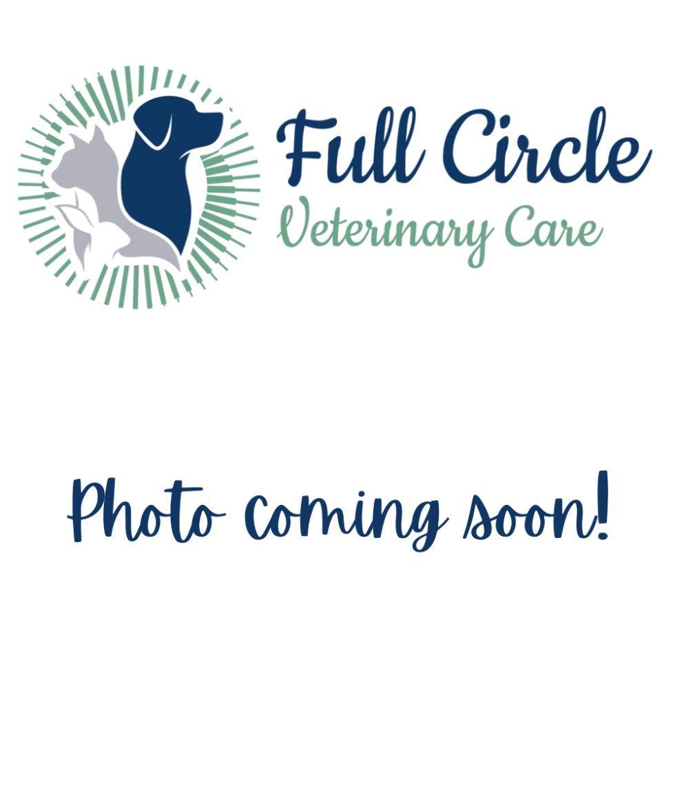 Veterinarian In Johnstown, CO | Full Circle Veterinary Care
