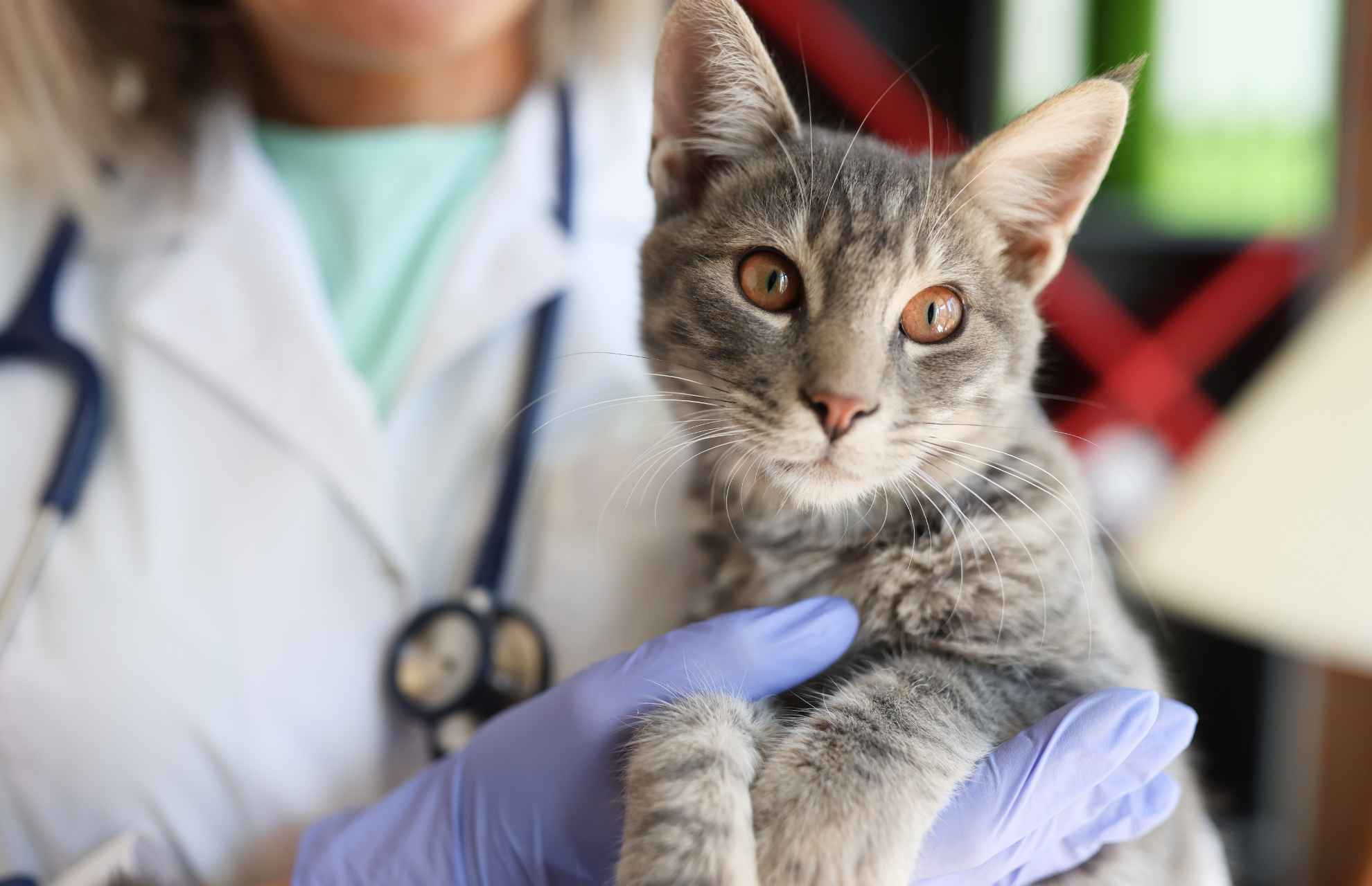 Full Circle Veterinary Care FAQs